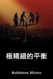 相當平衡 book cover