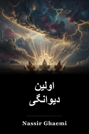 اولین دیوانگی book cover