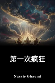 第一次疯狂 book cover