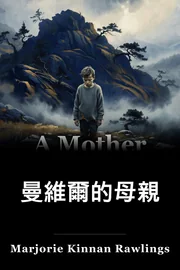 在曼維爾的母親 book cover