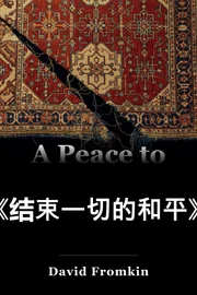结束一切和平的和平 book cover