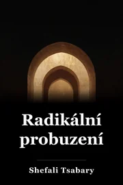 Radikální probuzení book cover