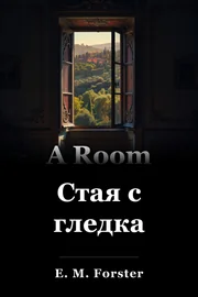 Стая с изглед book cover