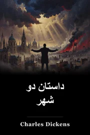 داستان دو شهر book cover