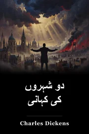 دو شہروں کا ایک قلعہ book cover
