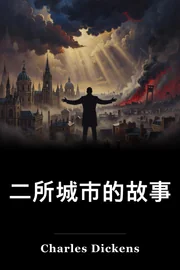 二所城市的故事 book cover