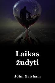 Laikas žudyti book cover