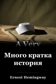 Много кратка история book cover