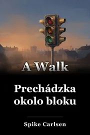 Prechádzka okolo bloku book cover
