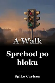 Sprehod po bloku book cover