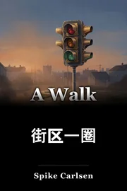 绕着街区走 book cover