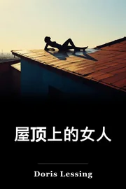 屋顶上的女人 book cover