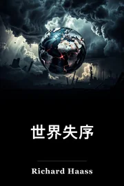 一个混乱的世界 book cover