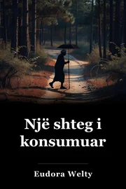 Një shteg i shqetësuar book cover