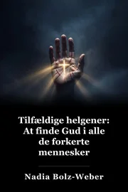 Accidental Saints: Finding God in all the Wrong People book cover
