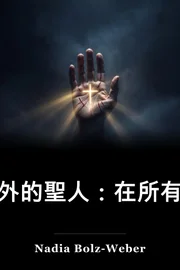 有意外的聖人:找找錯人了 book cover