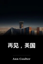 再见,美国 book cover