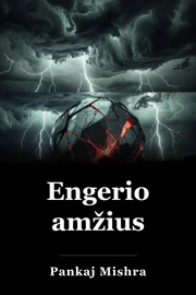 Engerio amžius book cover