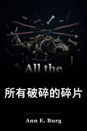 所有被打碎的碎片 book cover