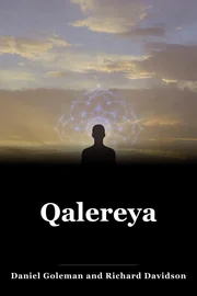 Qalereya book cover