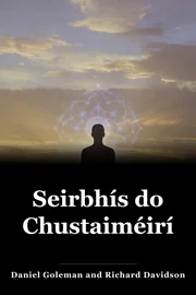 Seirbhís do Chustaiméirí book cover