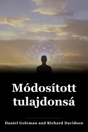 Módosított tulajdonságok book cover