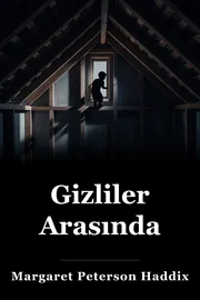 Gizliler arasında book cover