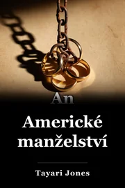 Americké manželství book cover