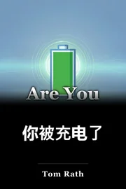 你被充电了 book cover