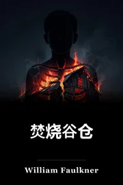 焚烧 book cover