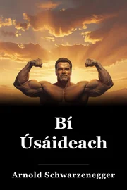Bí Úsáideach book cover