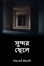 সুন্দর বয় book cover