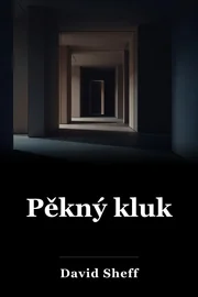 Krásný chlapec. book cover