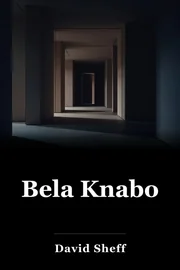 Bela knabo book cover