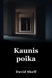 Kaunis poika book cover