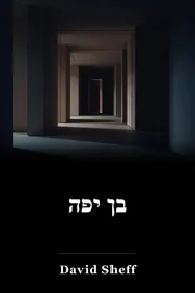 ילד יפה book cover