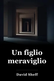 Bellissimo ragazzo book cover