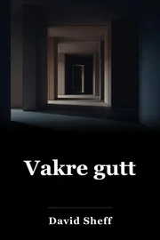 Vakker gutt book cover
