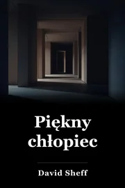 Piękny chłopiec book cover