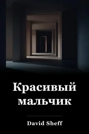 Красивый мальчик book cover