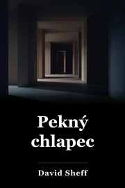 Krásny chlapec. book cover