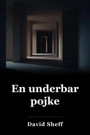 Vacker pojke book cover