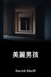 漂亮男孩 book cover