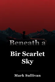 Bir Scarlet Sky book cover