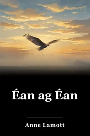Éan ag Éan book cover