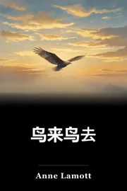 鸟来鸟去 book cover