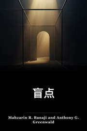 盲点 book cover