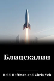 Блицскалинг book cover