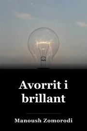 Avorrit i brillant book cover