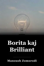 Borita kaj Brilliant book cover